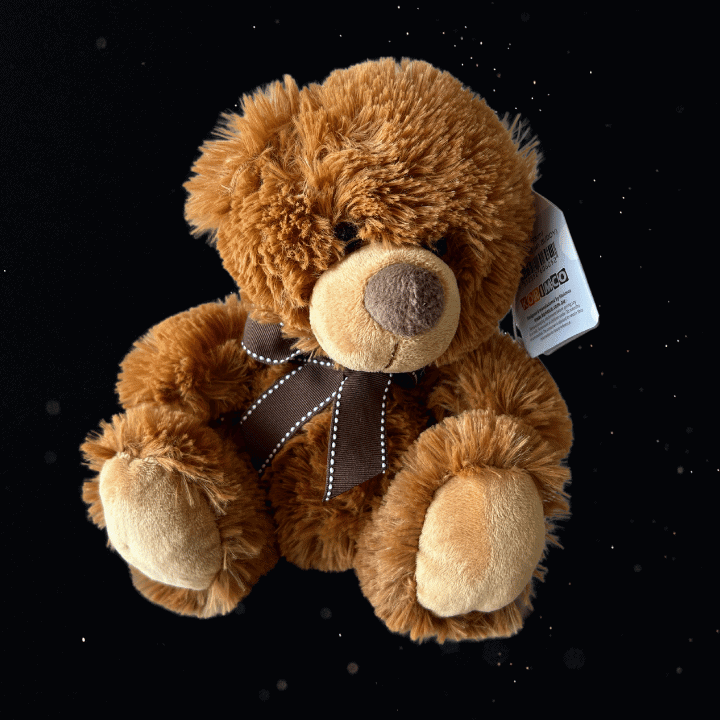 BUDDY BROWN TEDDY BEAR - Linard Floral