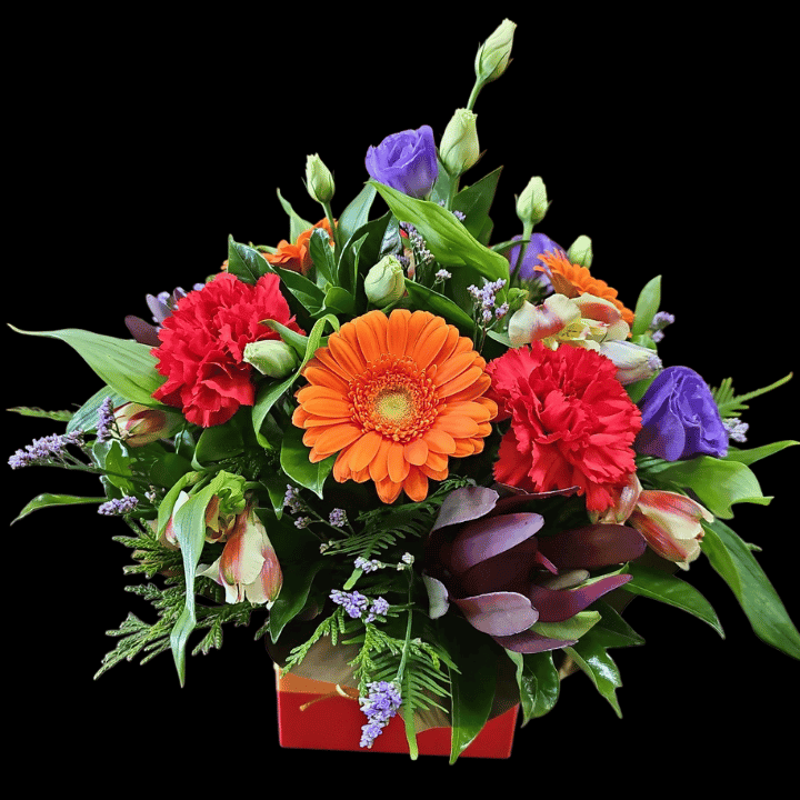 POP OF JOY - Linard Floral