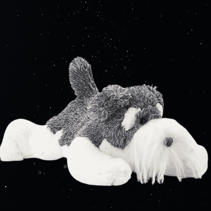 SCRUFF THE DOG - NANA HUCHY - Linard Floral