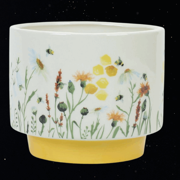 BEE MEADOW PLANTER - Linard Floral
