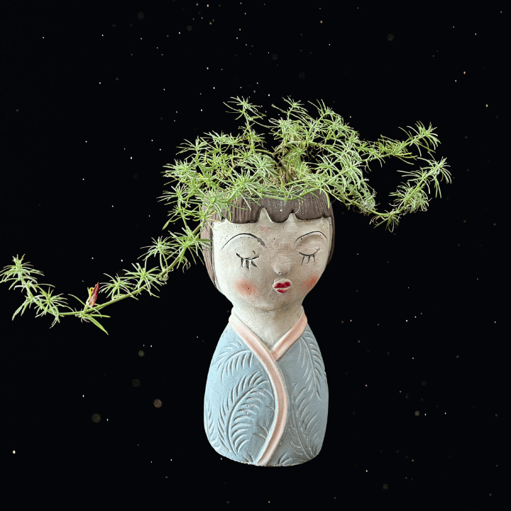 GEISHA GIRL - RED FLASH LOTUS - Linard Floral